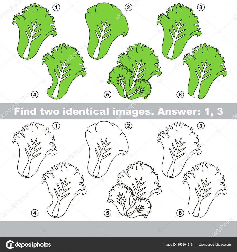 Visual game for kids to find hidden couple of objects. Stock Vector by ...