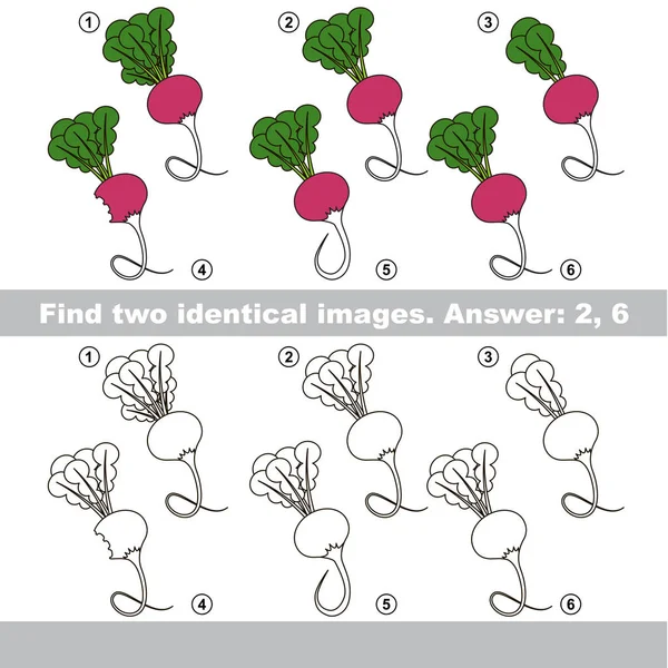 Visual game for kids to find hidden couple of objects. Stock Vector ...