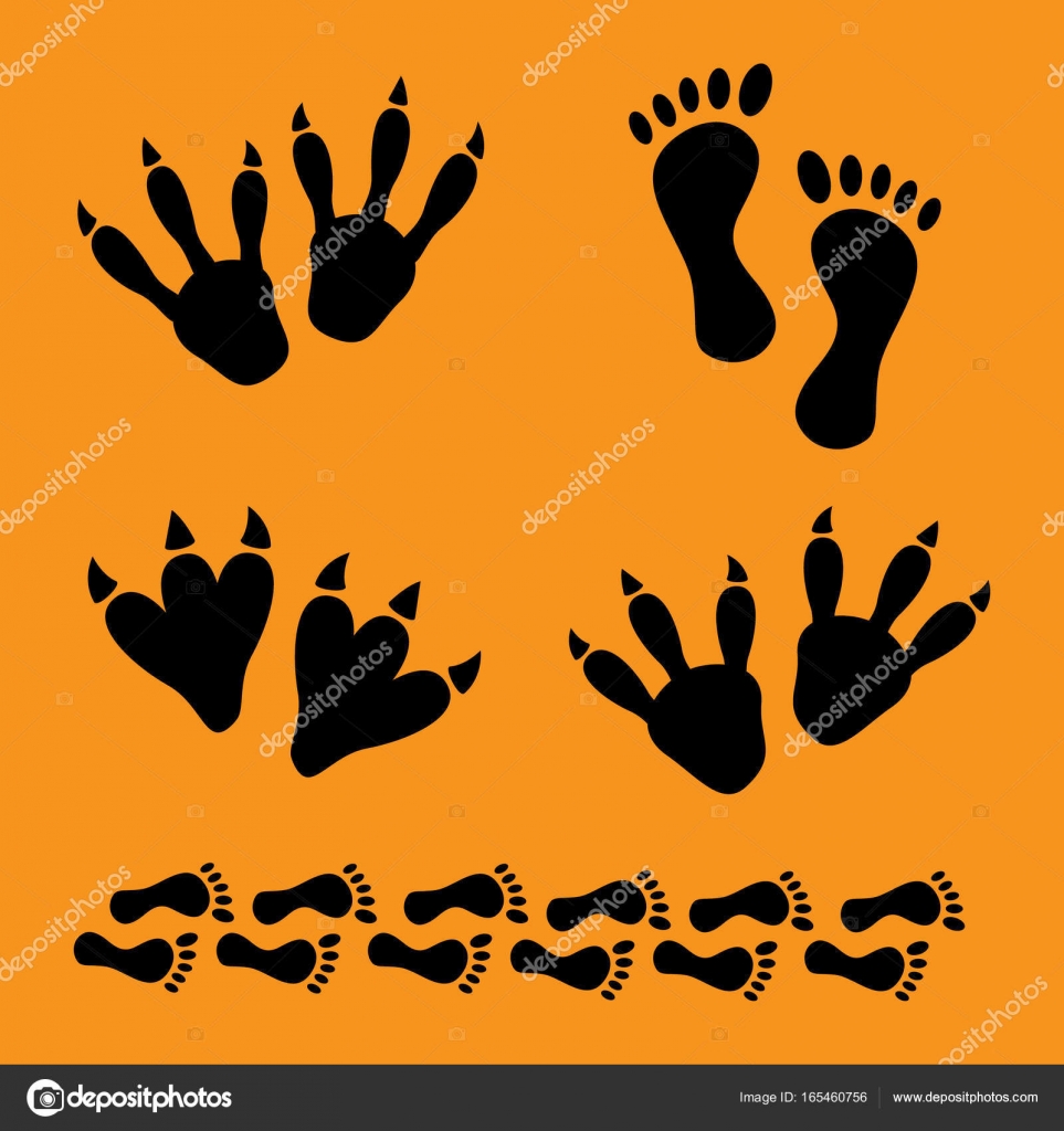 Lizard Footprint Clipart