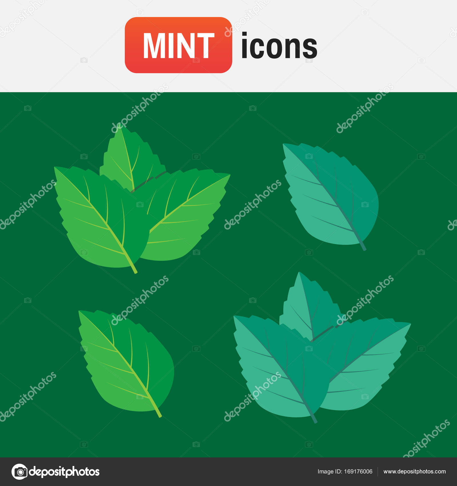 Vector de menta de menta. Conjunto de ilustración de vector verde menta ...