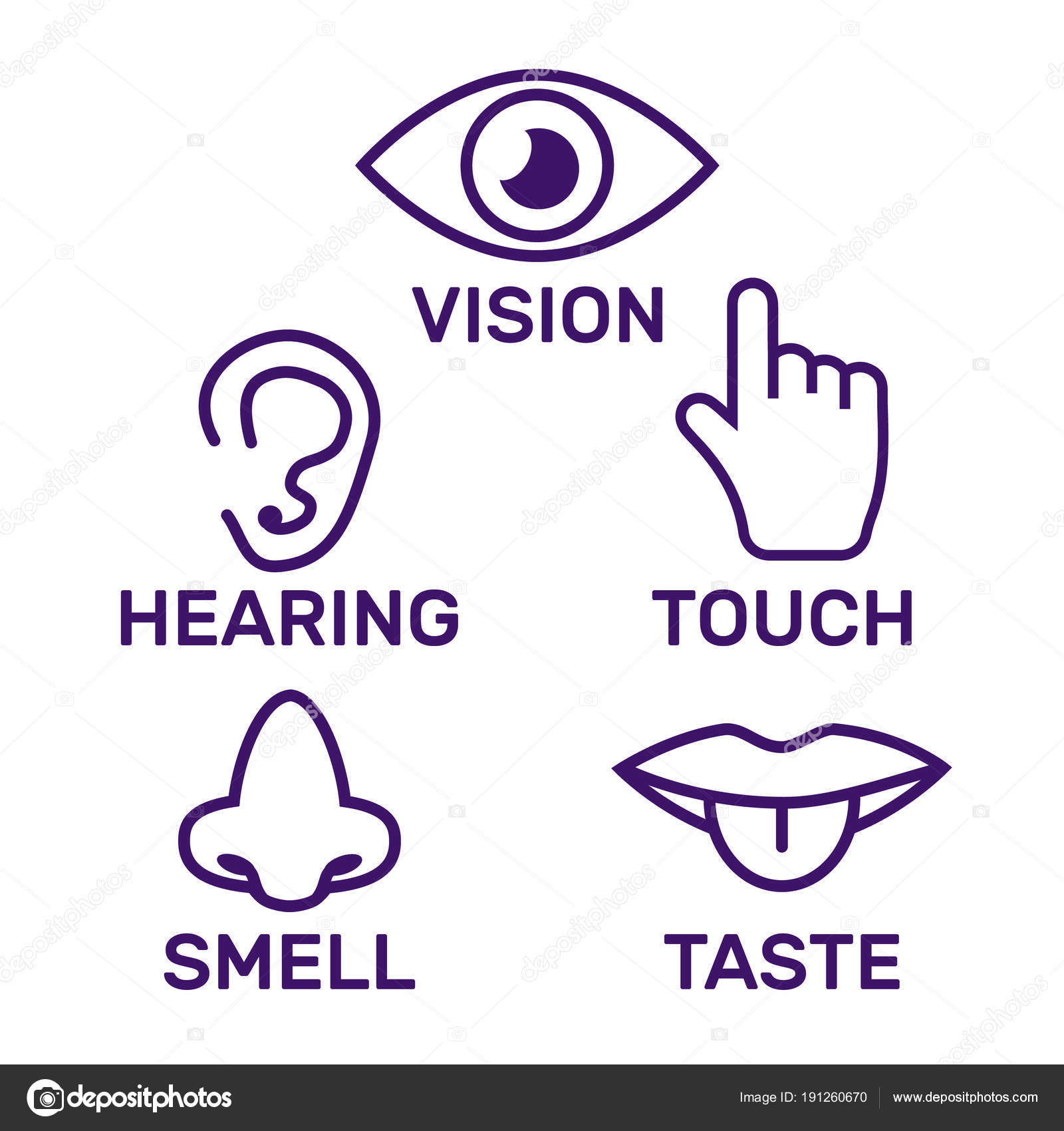 Icon human senses: vision, smell, hearing, touch, taste. Icons s Stock ...
