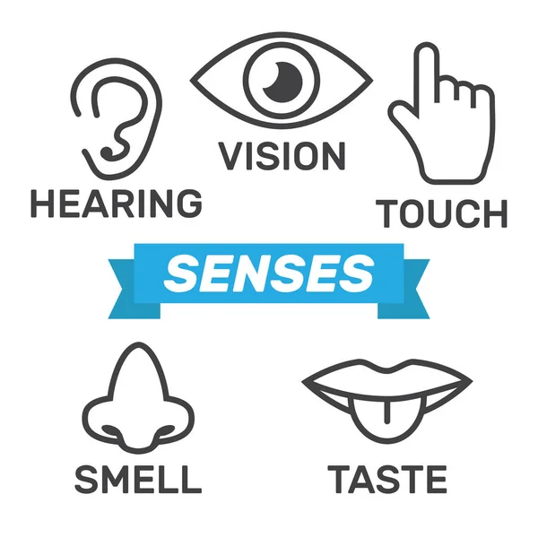 Five senses Stock Photos, Royalty Free Five senses Images | Depositphotos