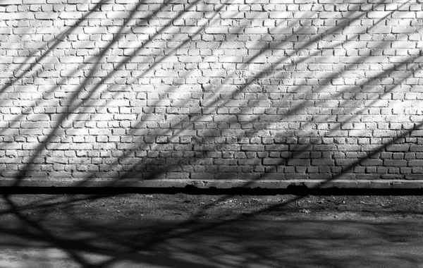 Bricks and twig texture images libres de droit, photos de Bricks and ...