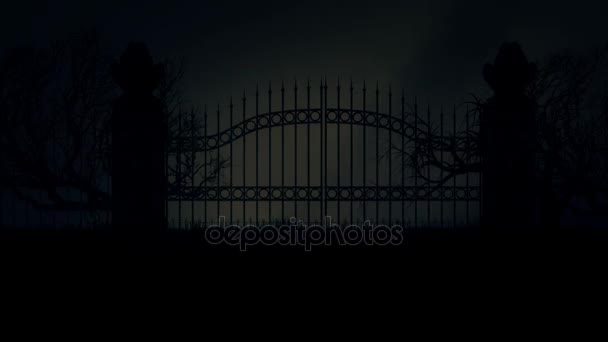 Cemetery Gate At Night