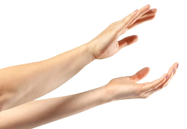 Female Hand Gesture White Background — Stock Photo © Fotofabrika #188815212