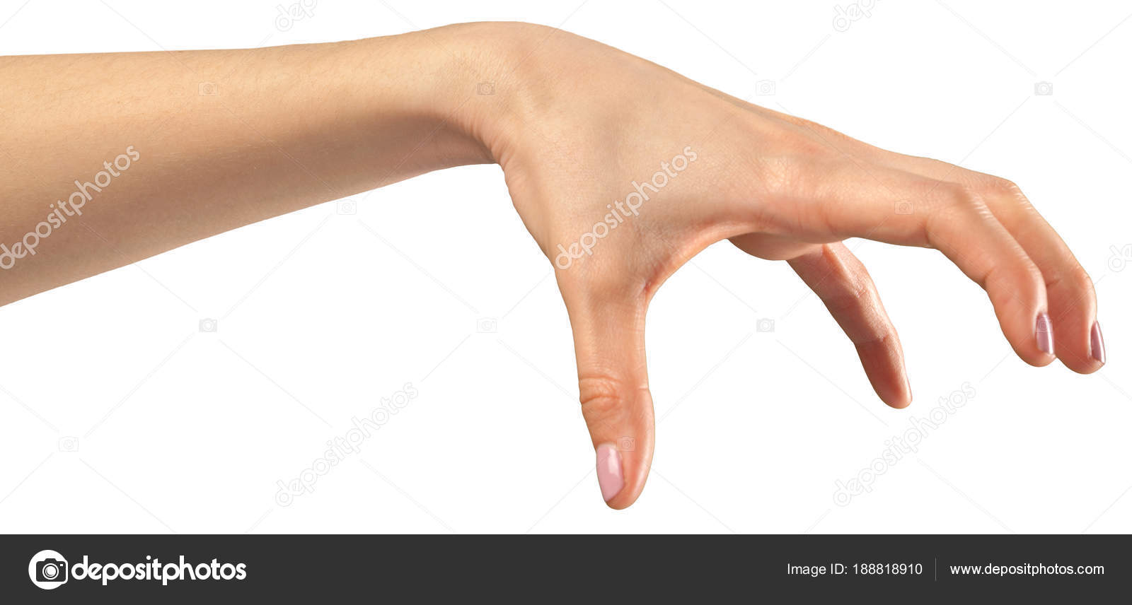 Female Hand Gesture White Background Stock Photo by ©Fotofabrika 188818910