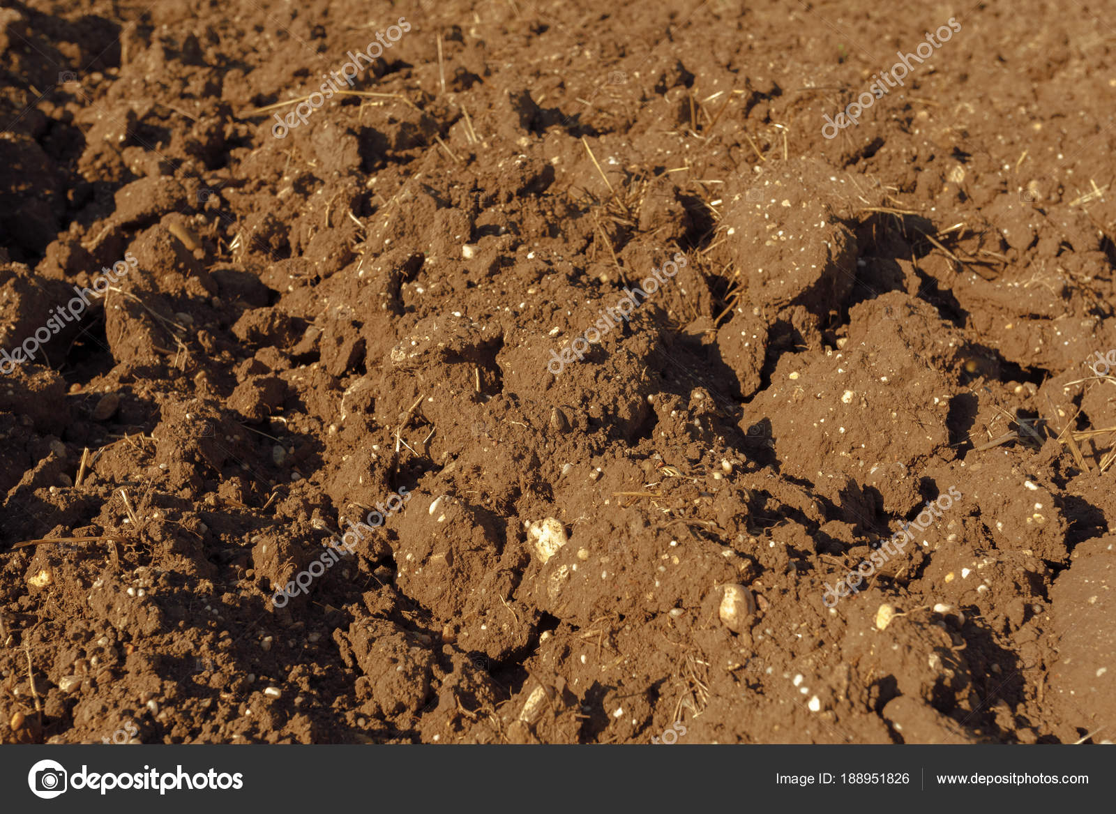 Brown Soil Texture Background Stock Photo by ©Fotofabrika 188951826