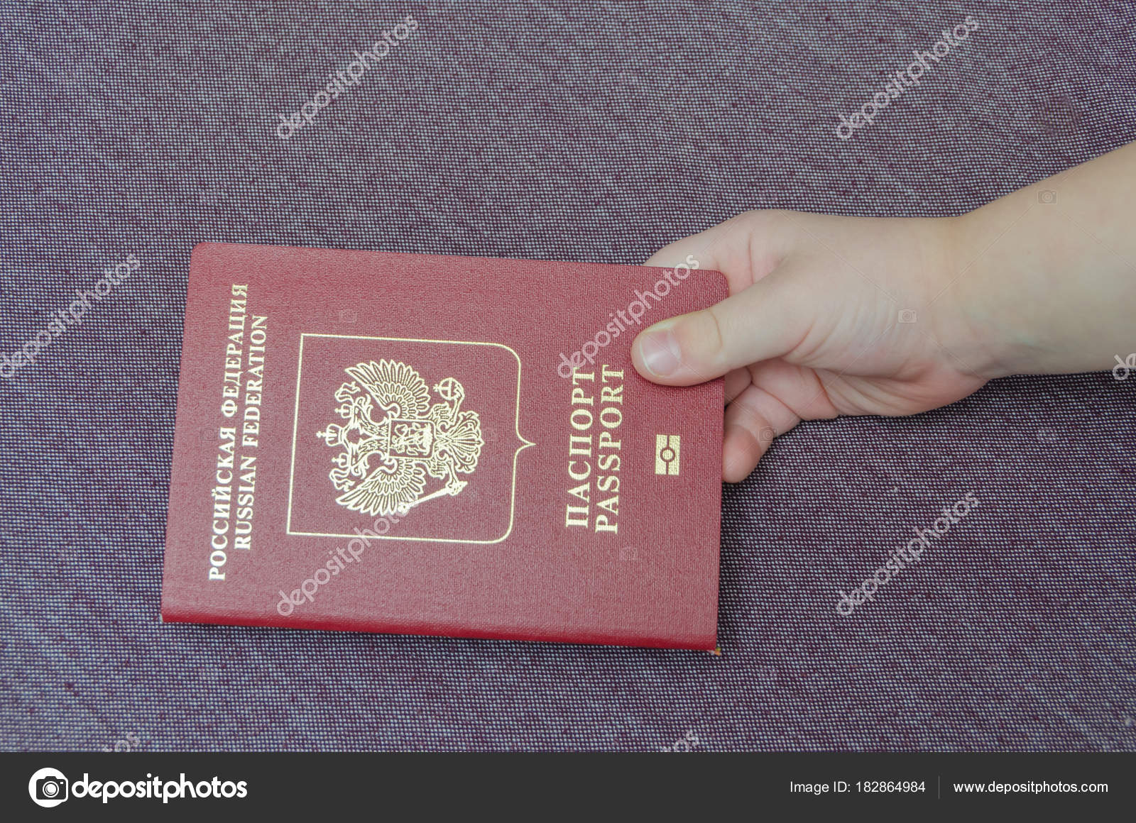 Children's hand passes the passport with the money invested — Stock ...