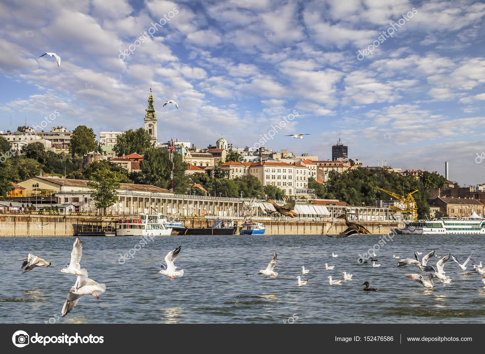 Belgrade Downtown Panorama With Tourist Port Viewed From Sava River ...