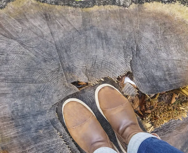 Legs standing on the old round the tree stump among autumn leaves .Feet ...