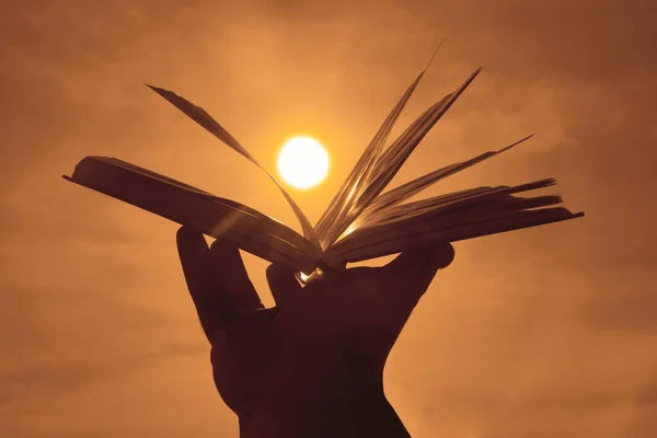 Open book hands Images - Search Images on Everypixel