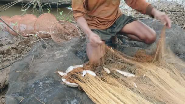 1,812 Rete da gabbia Videos, Royalty-free Stock Rete da gabbia Footage ...