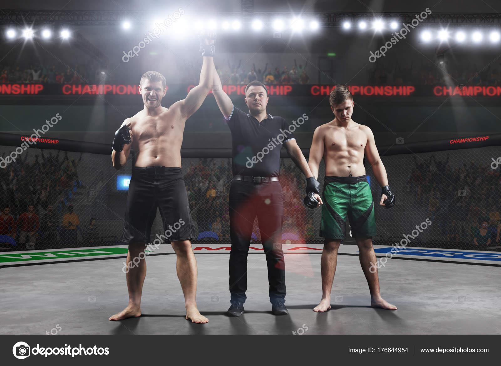 Referee is declairing the winner after the mma fight — Stock Photo ...