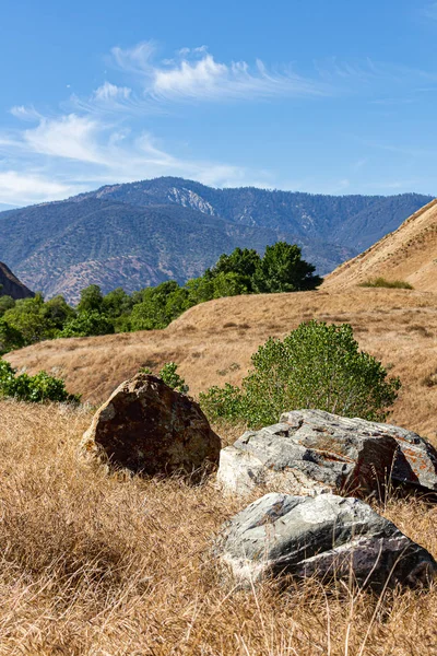 Jack rabbit Images - Search Images on Everypixel