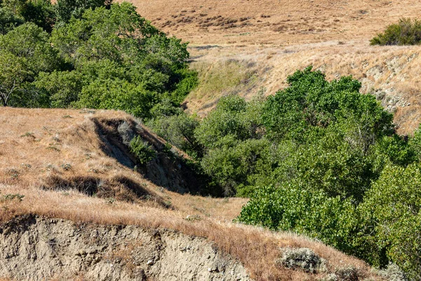 Jack rabbit Images - Search Images on Everypixel