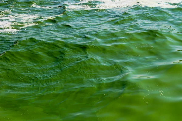 Green sea water Stock Photos, Royalty Free Green sea water Images ...