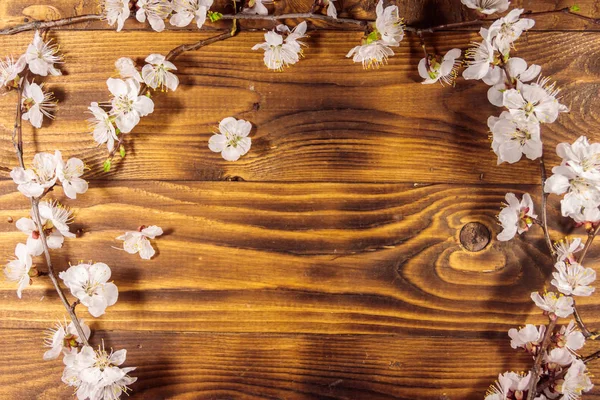 Spring flowers on wooden background — Stock Photo © Kruchenkova #21336355