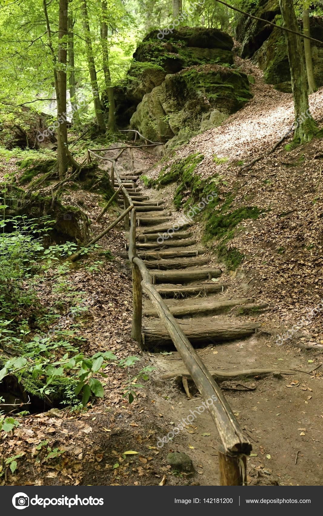 Stairs in the forest — Stock Photo © OndrejSchaumann #142181200