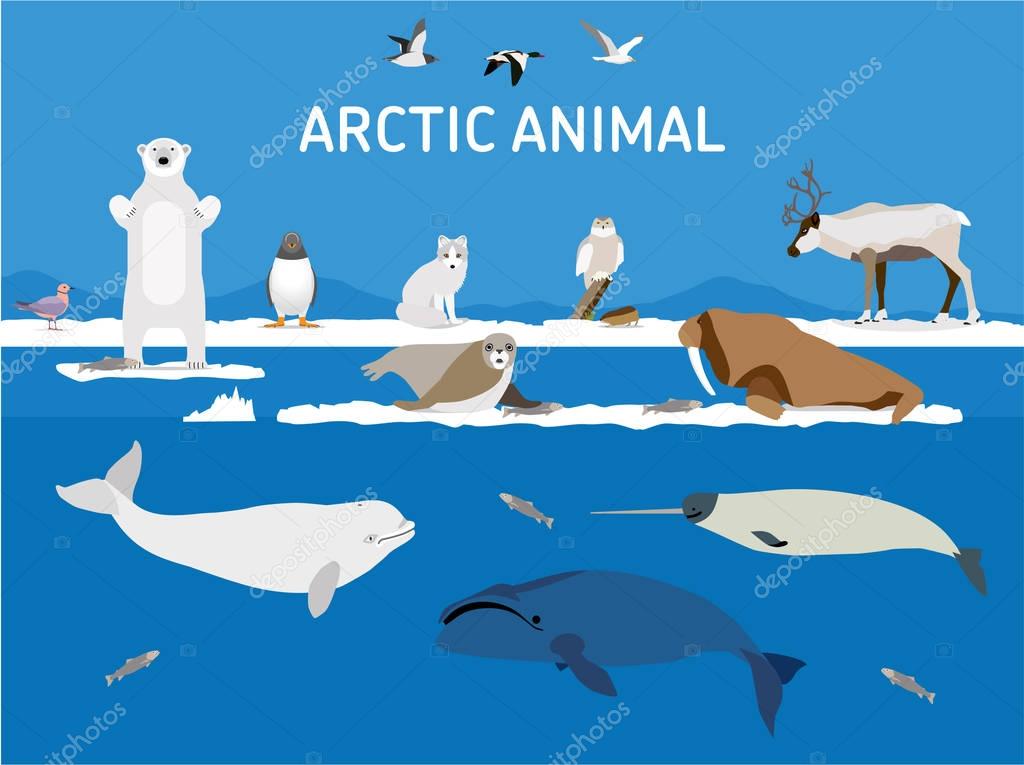 Animales del Ártico. Ilustración de estilo plano 2022