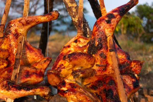 Australian aboriginal food Stock Photos, Royalty Free Australian ...