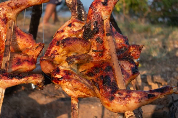 Australian aboriginal food Stock Photos, Royalty Free Australian ...