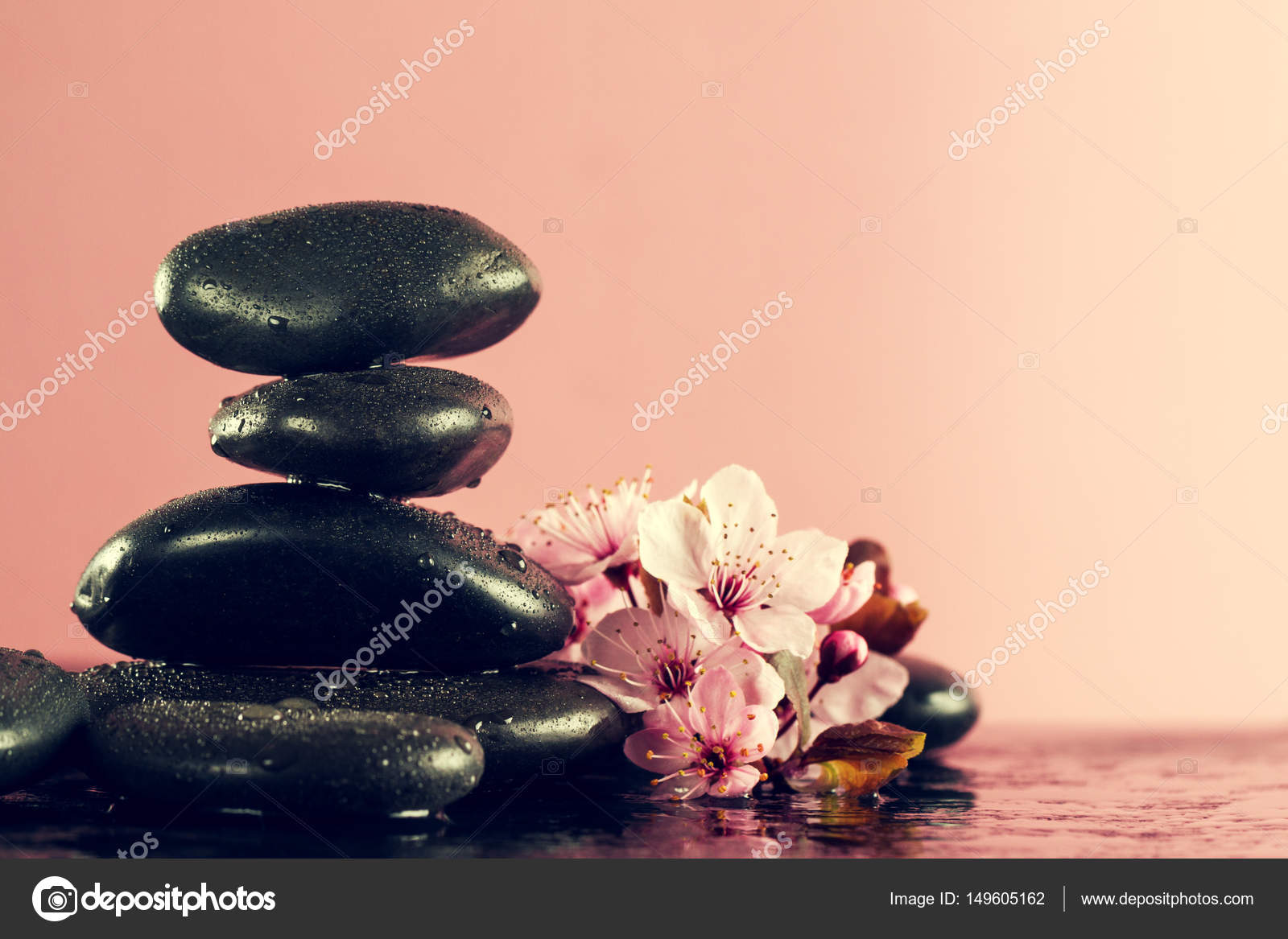 Beautiful pink Spa Flowers on Spa Hot Stones on Water Wet Background ...