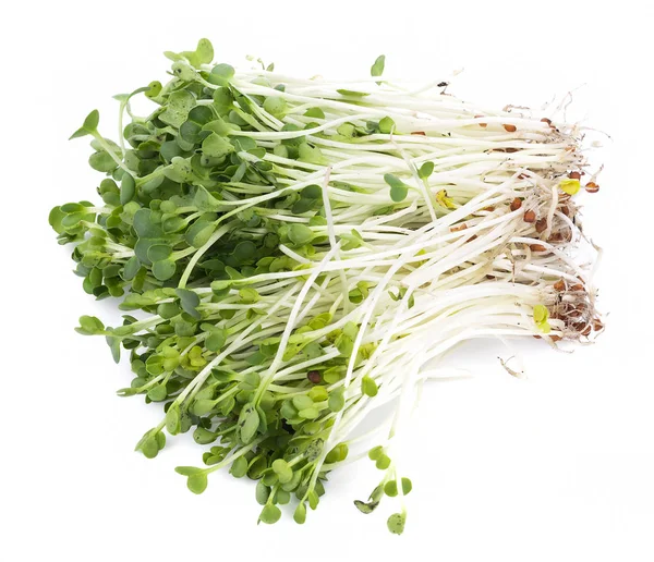 Kaiware sprout, japanese vegetable or watercress on white backgr Stock ...