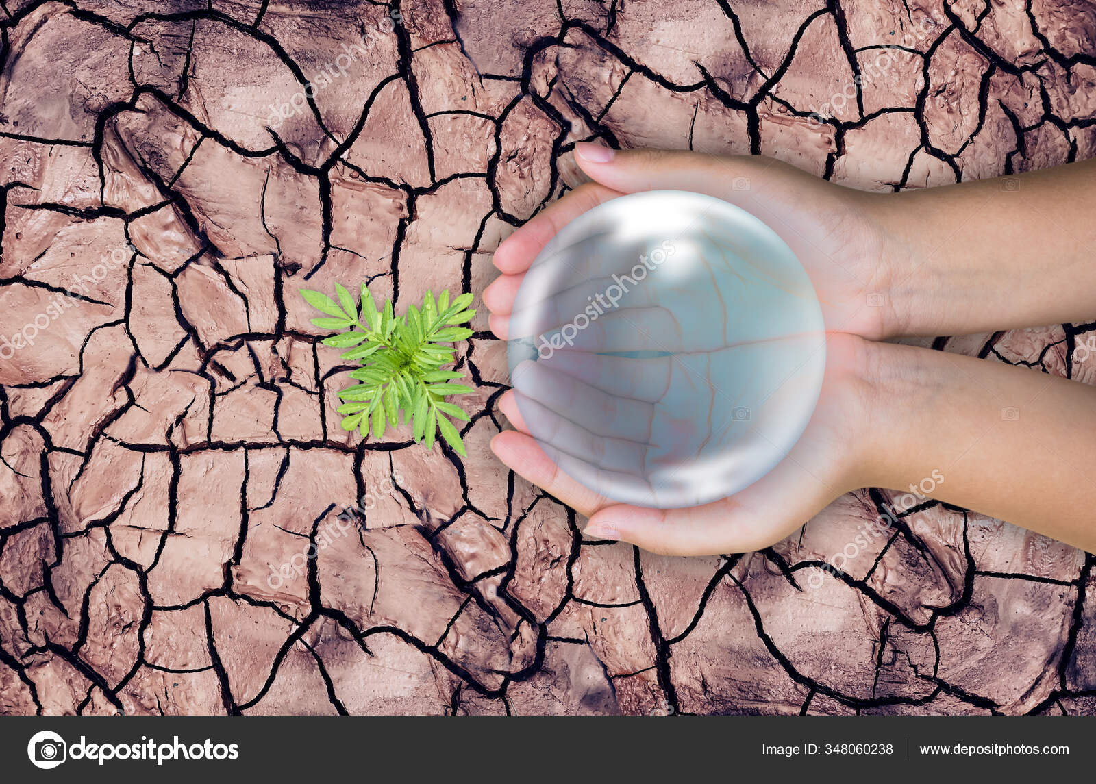 Earth Life World Environment Day Concept Environmental Disaster ...