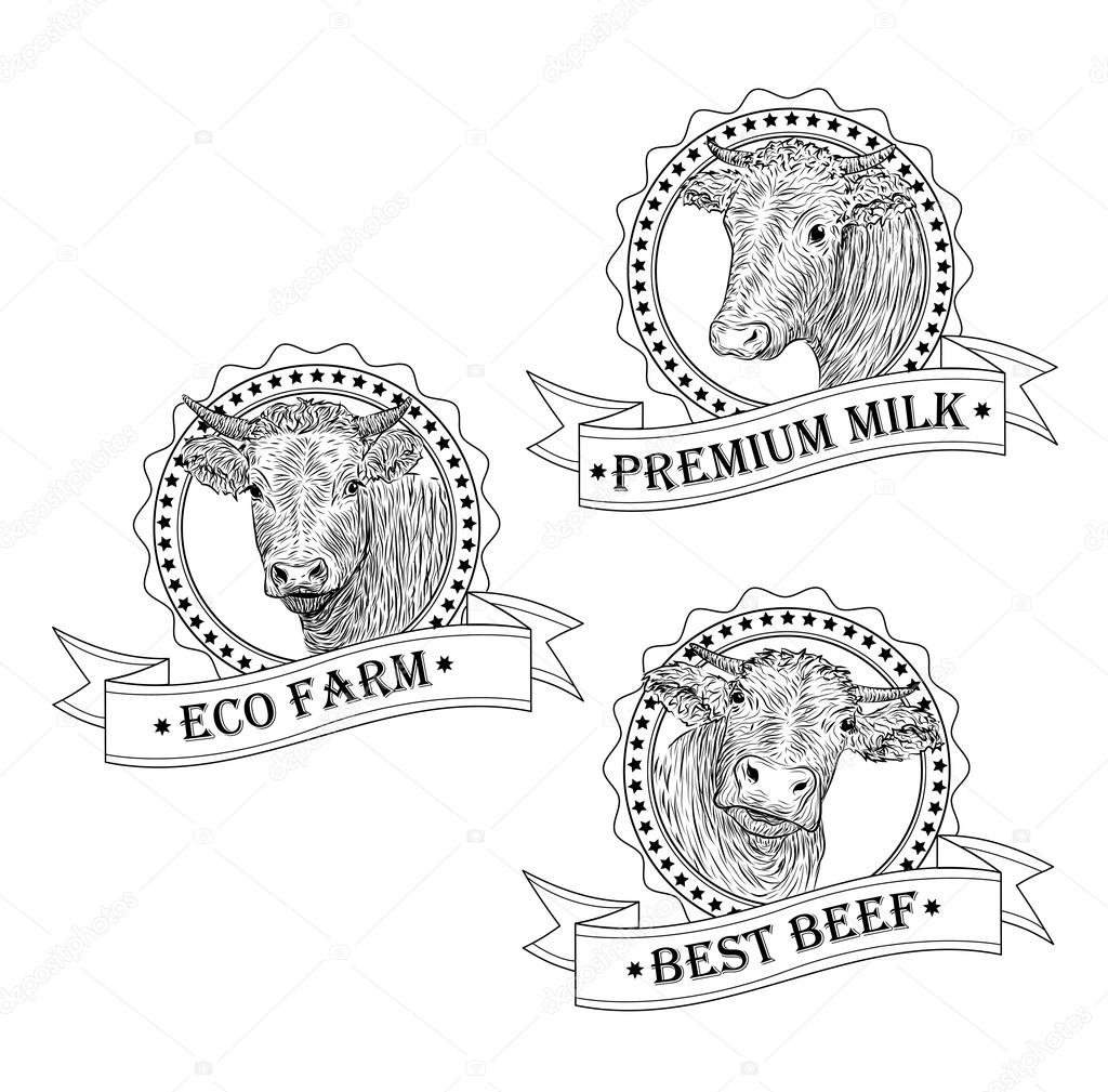 Cow, calf, bull cute muzzle face set collection variation sticker icon ...