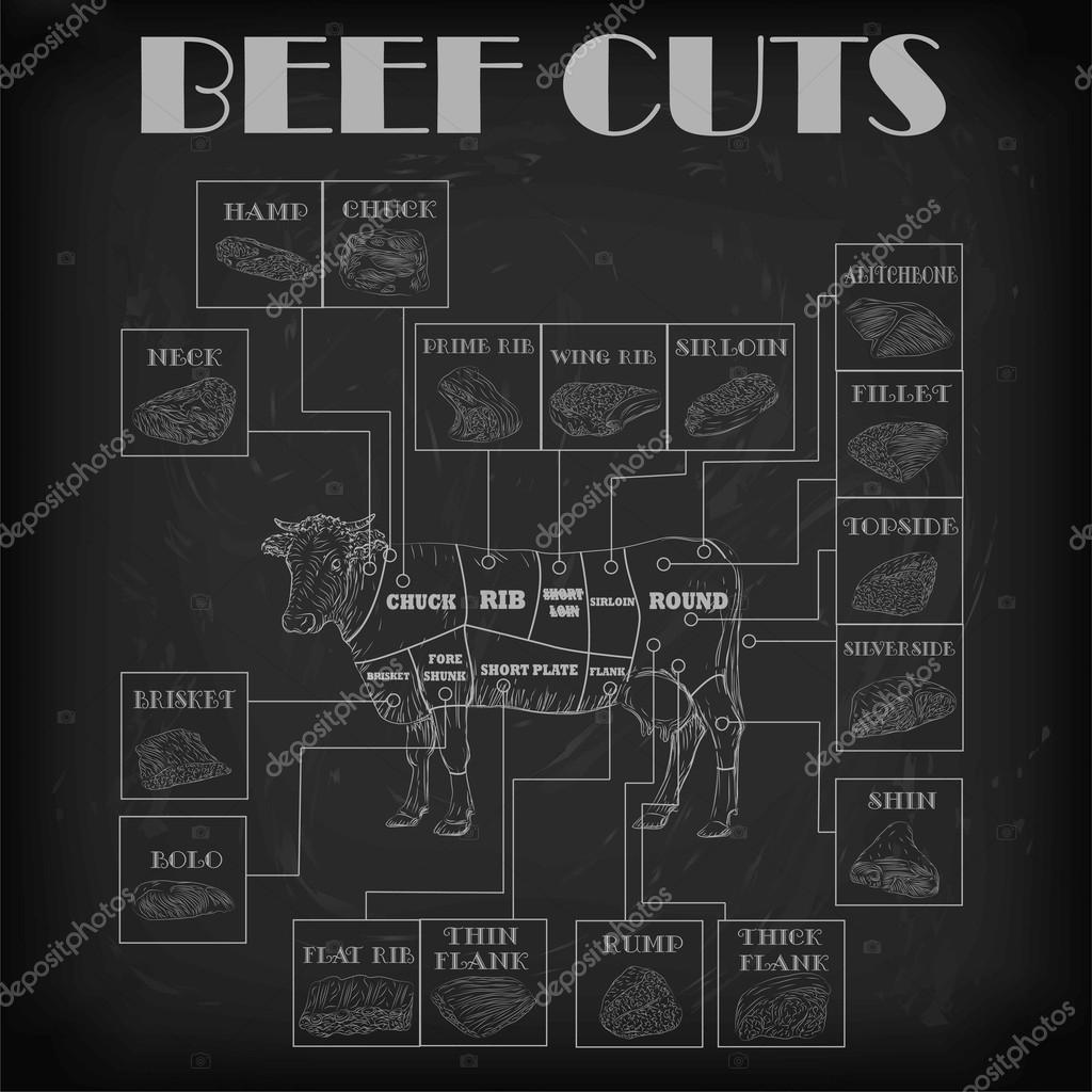 Beef cow bull whole carcass cuts cut parts infographics scheme sign ...