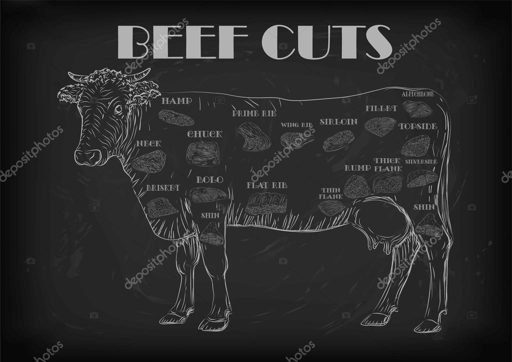Beef cow bull whole carcass cuts cut parts infographics scheme sign ...