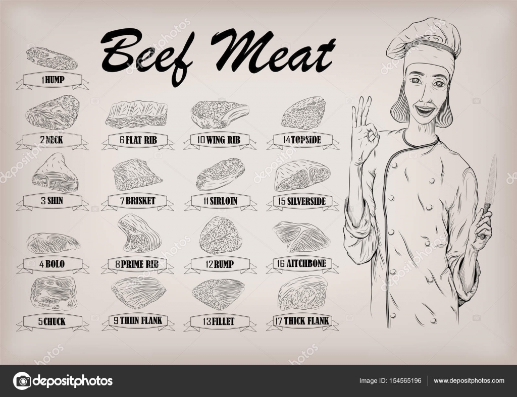 Beef cow carcass cut parts info graphics poster butchers guide neck ...
