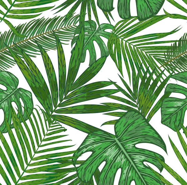 85 Tropical sago leaf Vector Images | Depositphotos