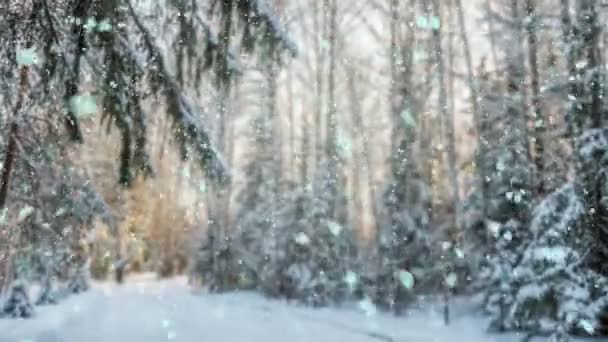 CINEMAGRAPH, 4k, falling snow in the winter forest, loop — Stock Video ...