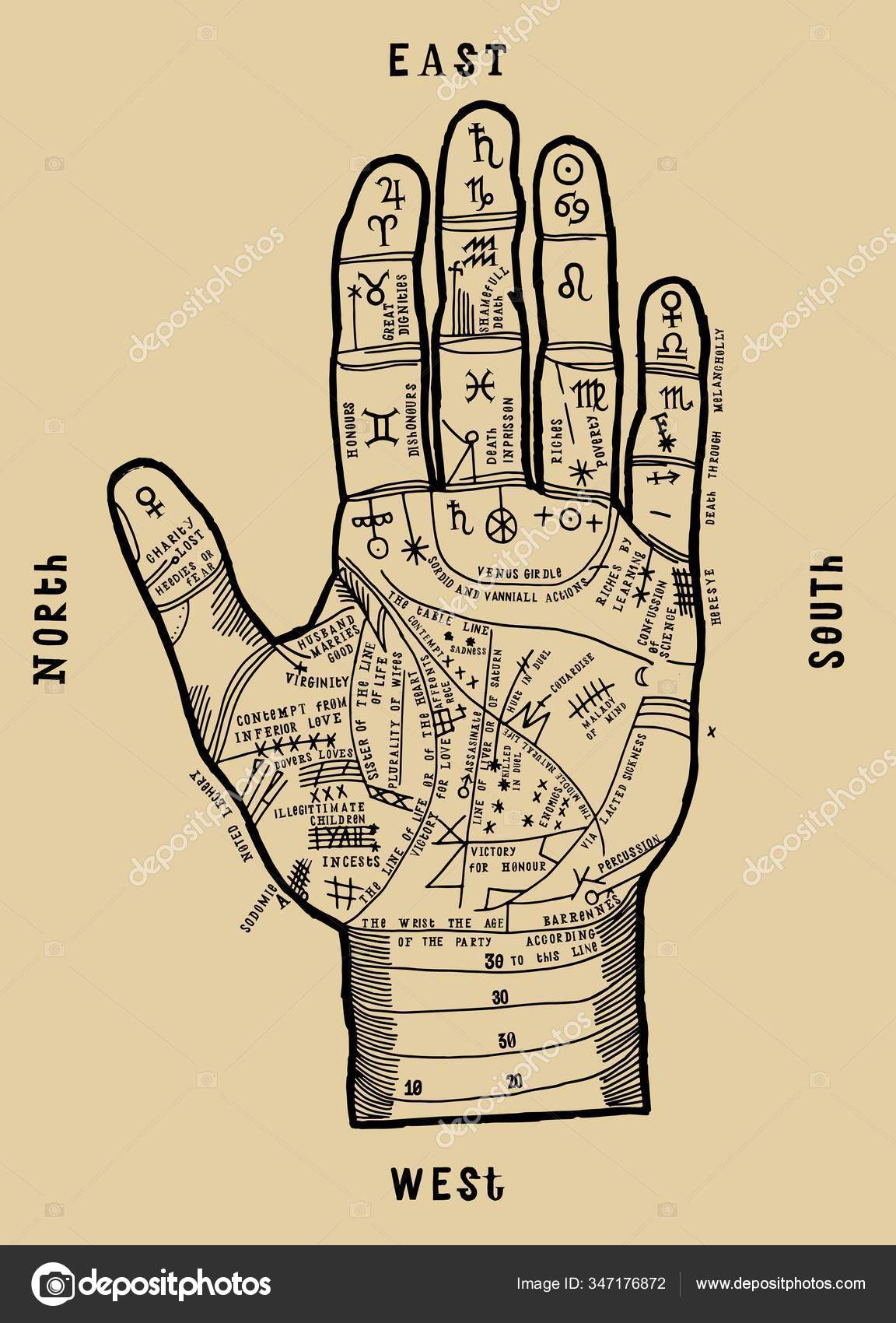 Palmistry Map Illustration Palm Signs Lines Vintage Typography Print ...