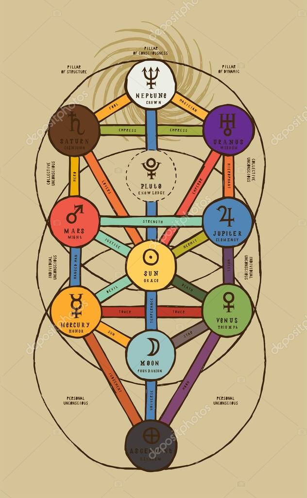 Detaylı Bir Sedef Ağacı Renkli Yaşam Ağacı Kabala Sembolü Klasik ...