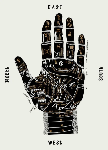Palmistry Map Illustration Palm Signs Lines Vintage Typography Print Occult Stock Vector Image ...