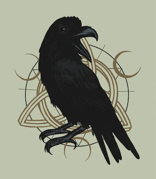 337 Dead crow Vector Images | Depositphotos