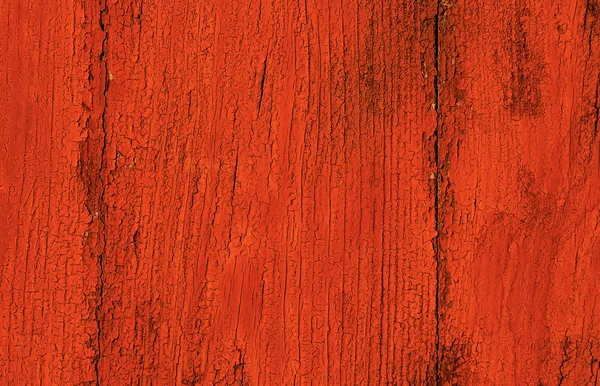 Red board Images - Search Images on Everypixel