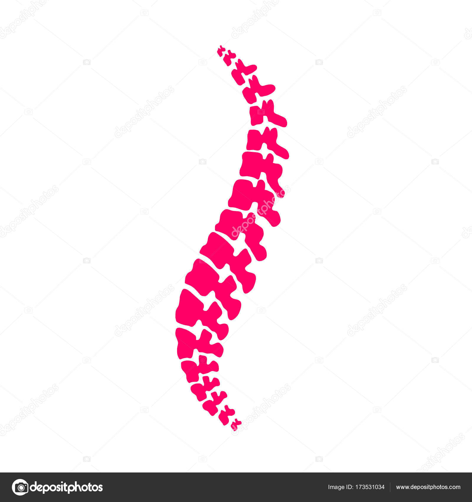 Vector logo template. Human spine isolated silhouette illustration ...