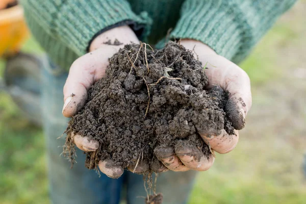 Hand dirt Images - Search Images on Everypixel