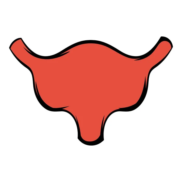 Human bladder vector illustration, cross section — Stock Vector ... Human bladder vector illustration, cross section — Stock Vector ...