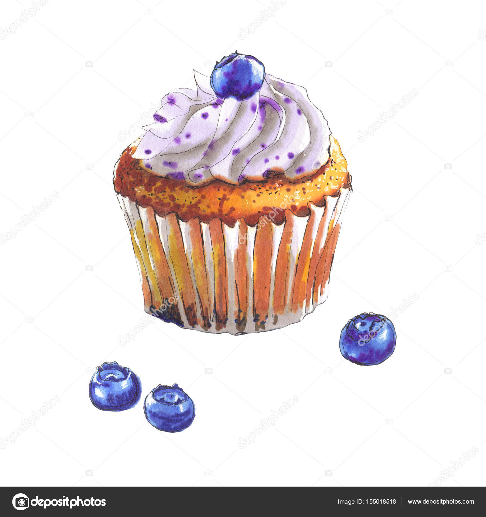 Blueberry Muffin Drawing