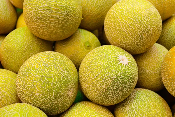 Israel melon Stock Photos, Royalty Free Israel melon Images | Depositphotos