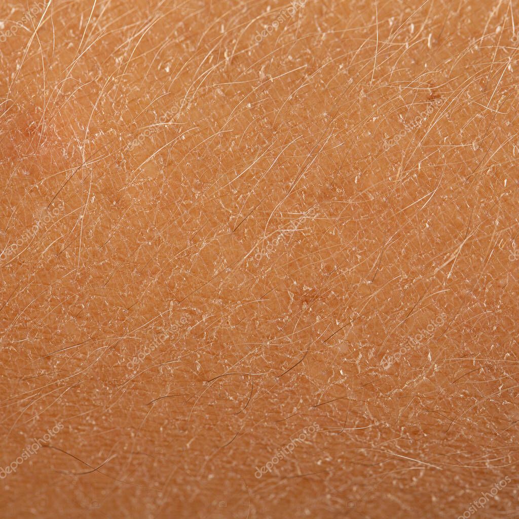 Los pelos finos se ven en macro detalle en la piel de una persona cauc ...
