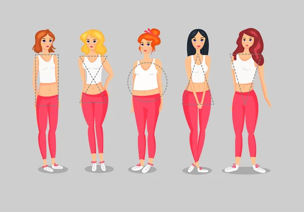 Set of Female Body Shape Types. Stock Vector by ©Mila1717 188576338