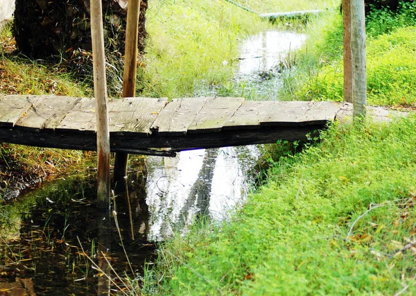 Eco friendly waterway Stock Photos, Royalty Free Eco friendly waterway ...