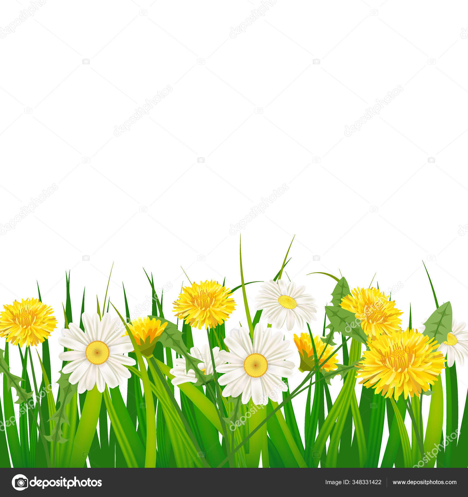 Spring template background with flowers dandelions and daisies ...