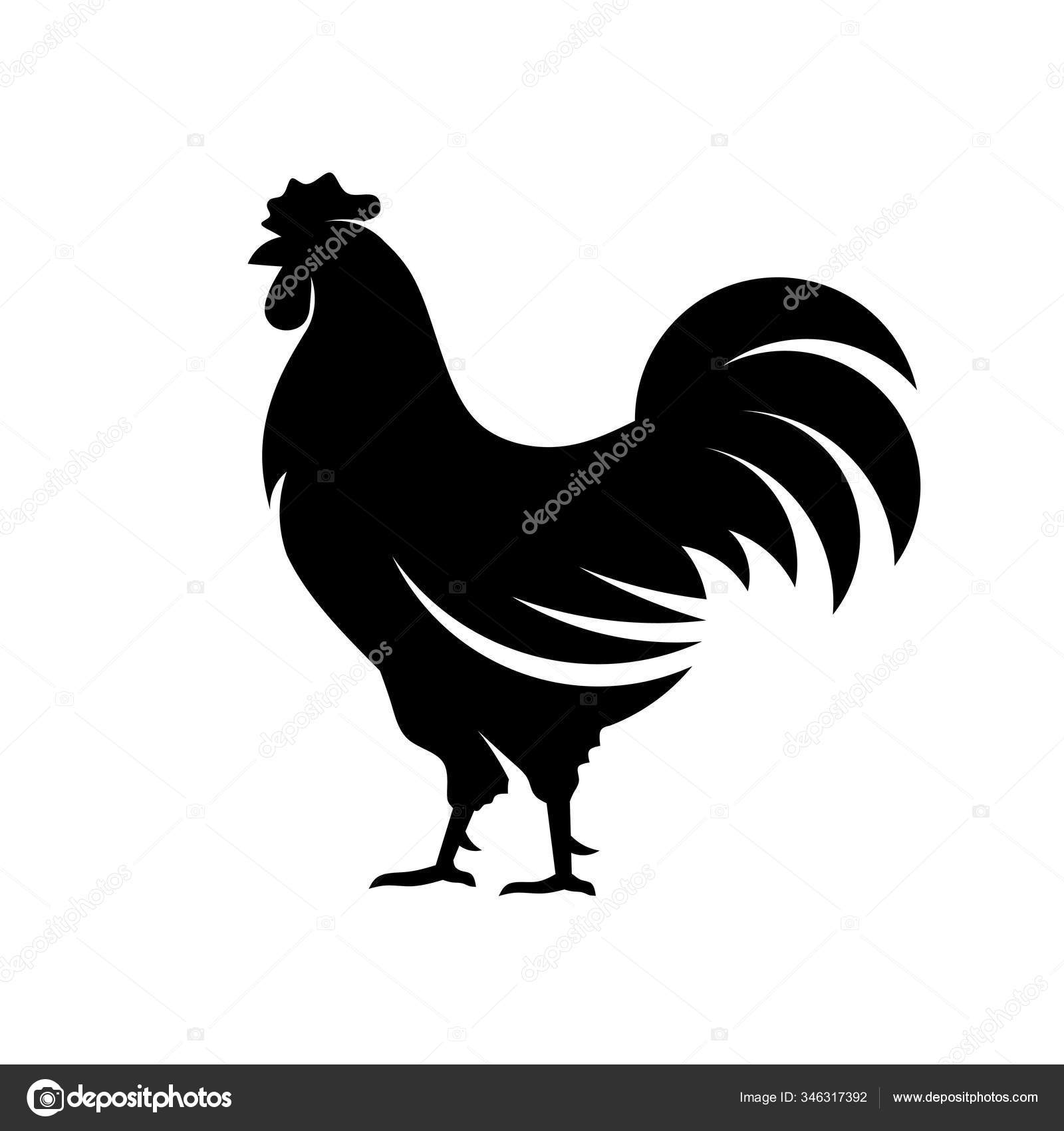 Silueta De Gallina Vector Vectores Gratis De Gallina | FreeImages