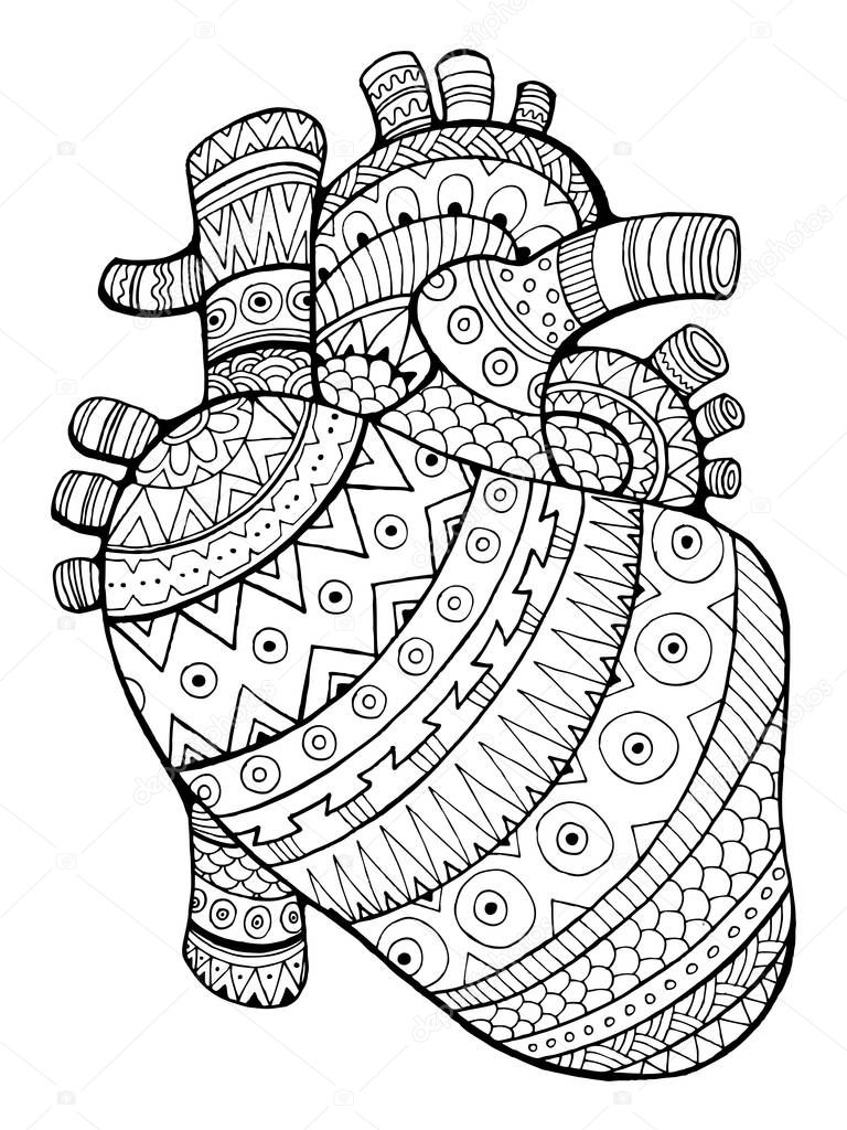 Corazón humano para colorear libro vector ilustración 2023